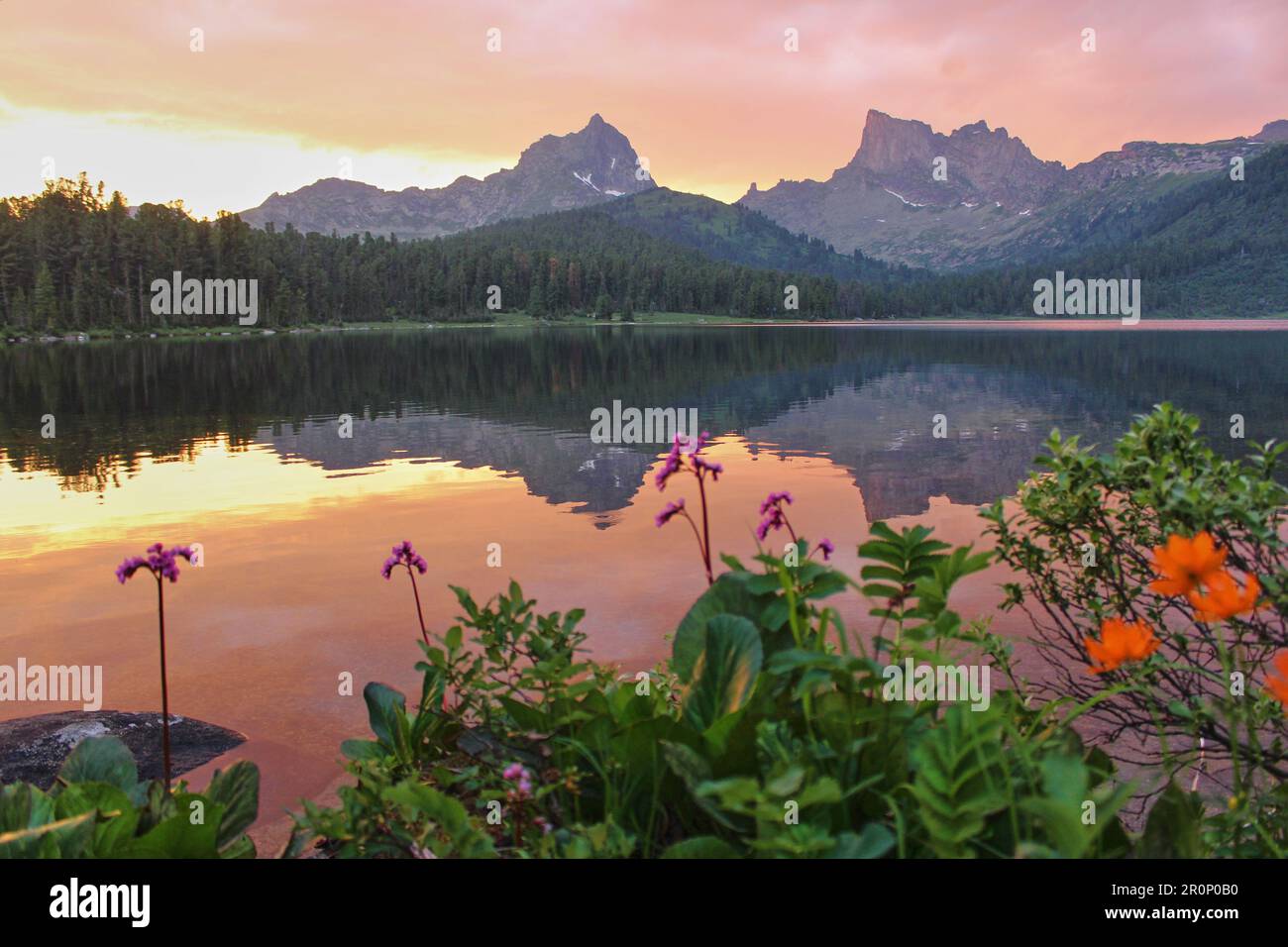 Incredibly beautiful summer sunset landscape, observation from the ...