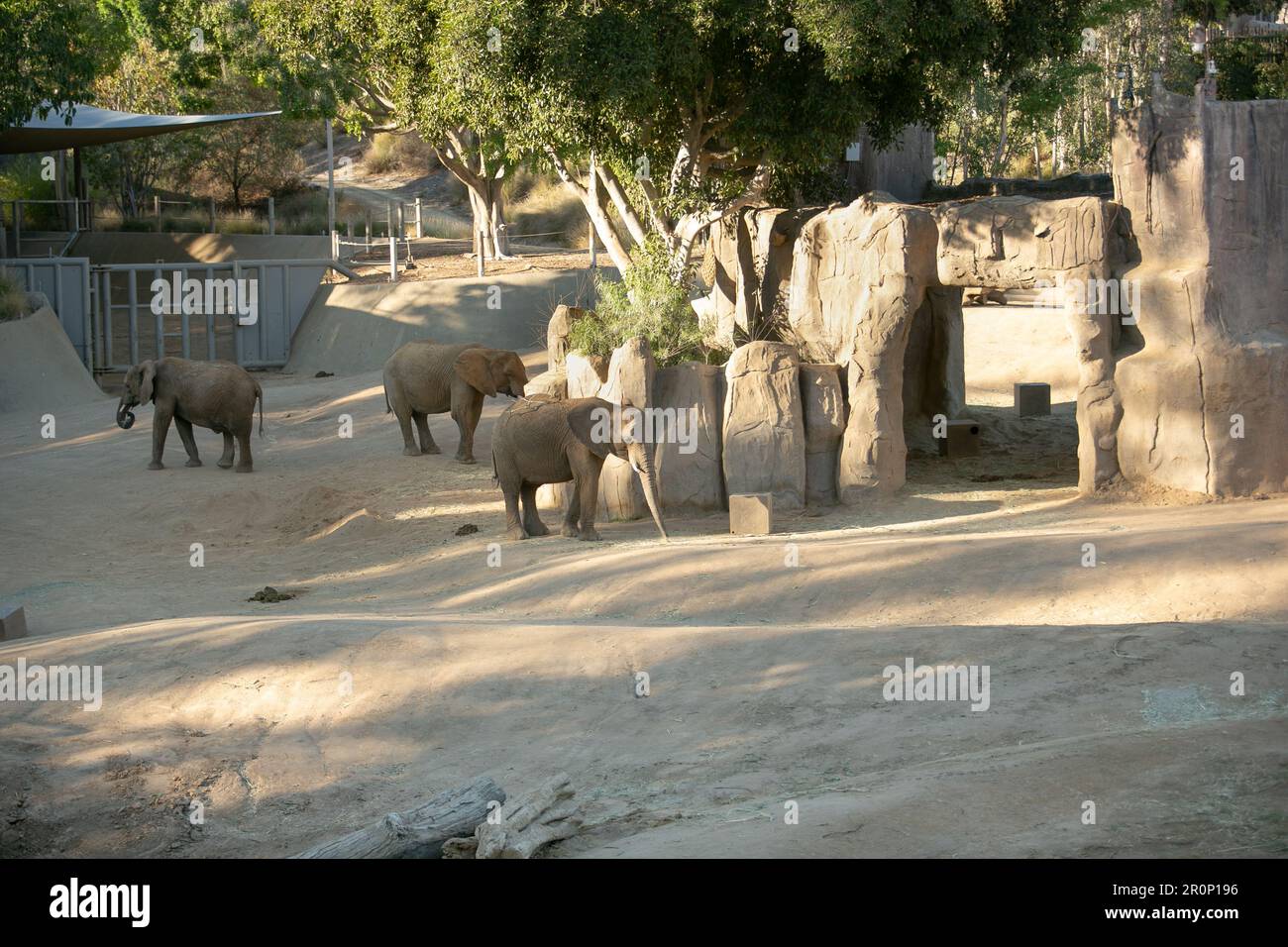 Zoological theme park hi-res stock photography and images - Alamy