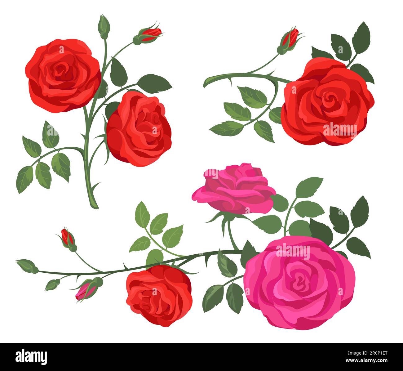 Vector branch red roses Cut Out Stock Images & Pictures - Alamy
