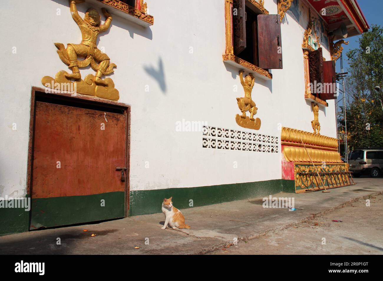 cat in a buddhist temple in vientiane (laos Stock Photo - Alamy