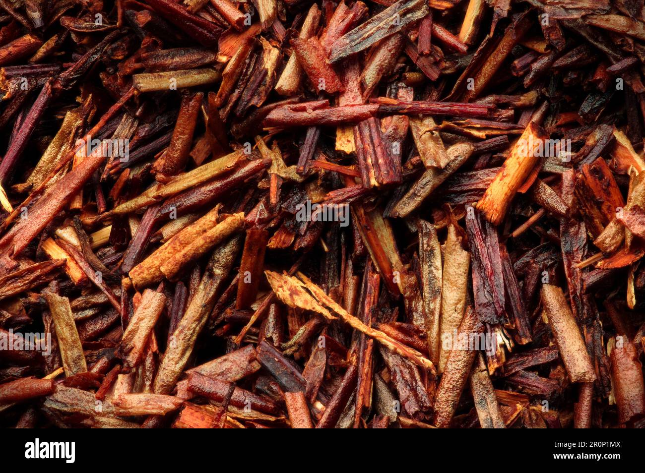 Aspalathus linearis hi-res stock photography and images - Alamy