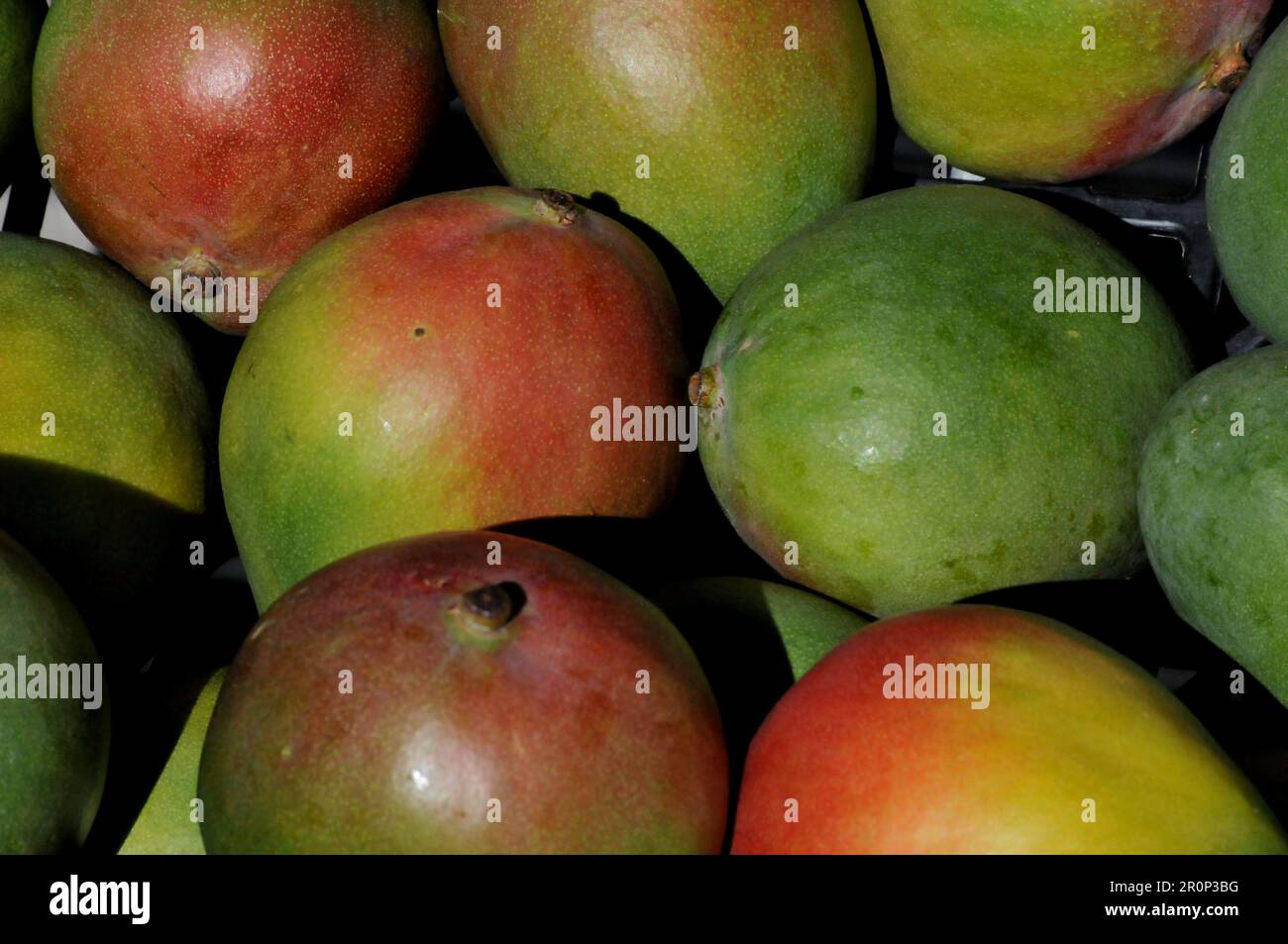 Kastrup/Copenhagen /Denmark/09 May 2023/mango imported from Peru sale ...