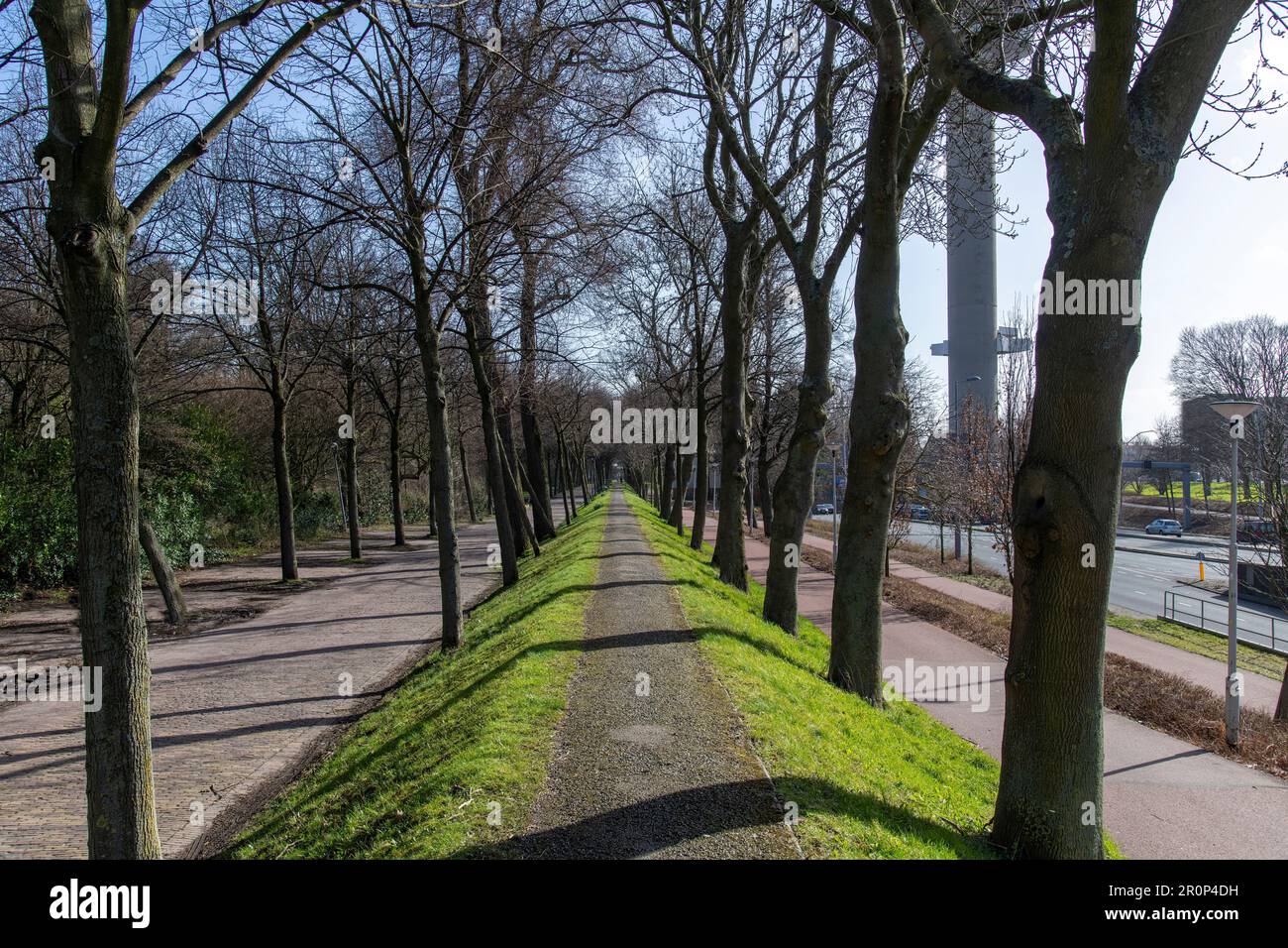 View over length of elevated footpath along Baden Powelllaan, Rotterdam ...