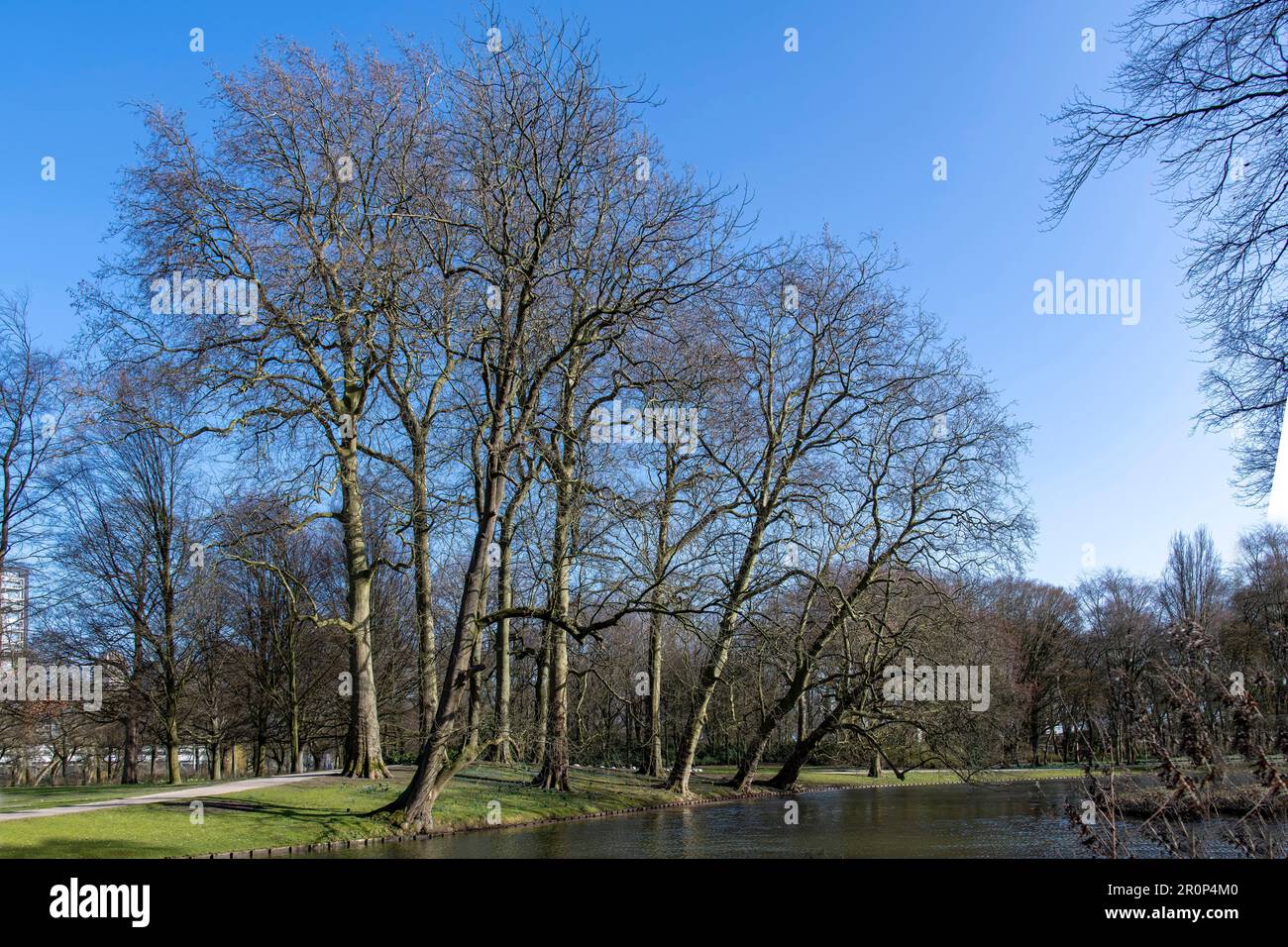 Het park rotterdam hi-res stock photography and images - Alamy