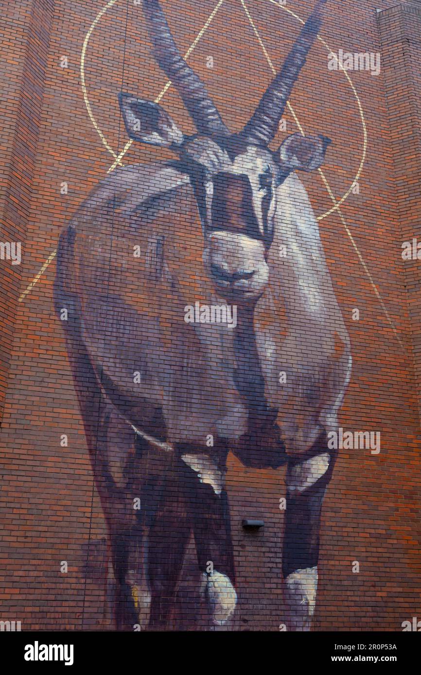 Public mural art by Faith XLVII in the Mount Pleasant district of ...