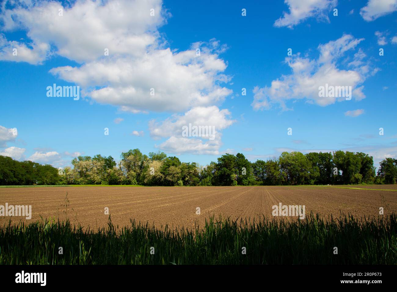 Rural landscape of the Po Valley with cultivated fields Stock Photo - Alamy