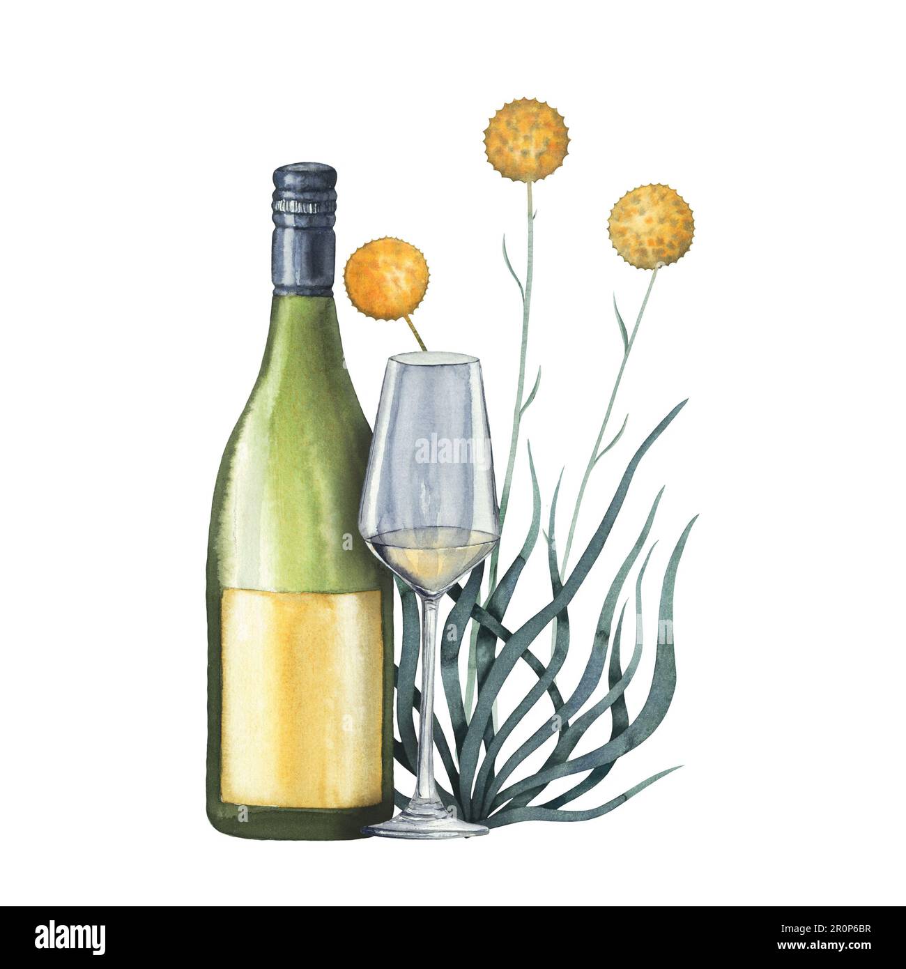 Australian wine watercolor composition with koala, eucalyptus and ...