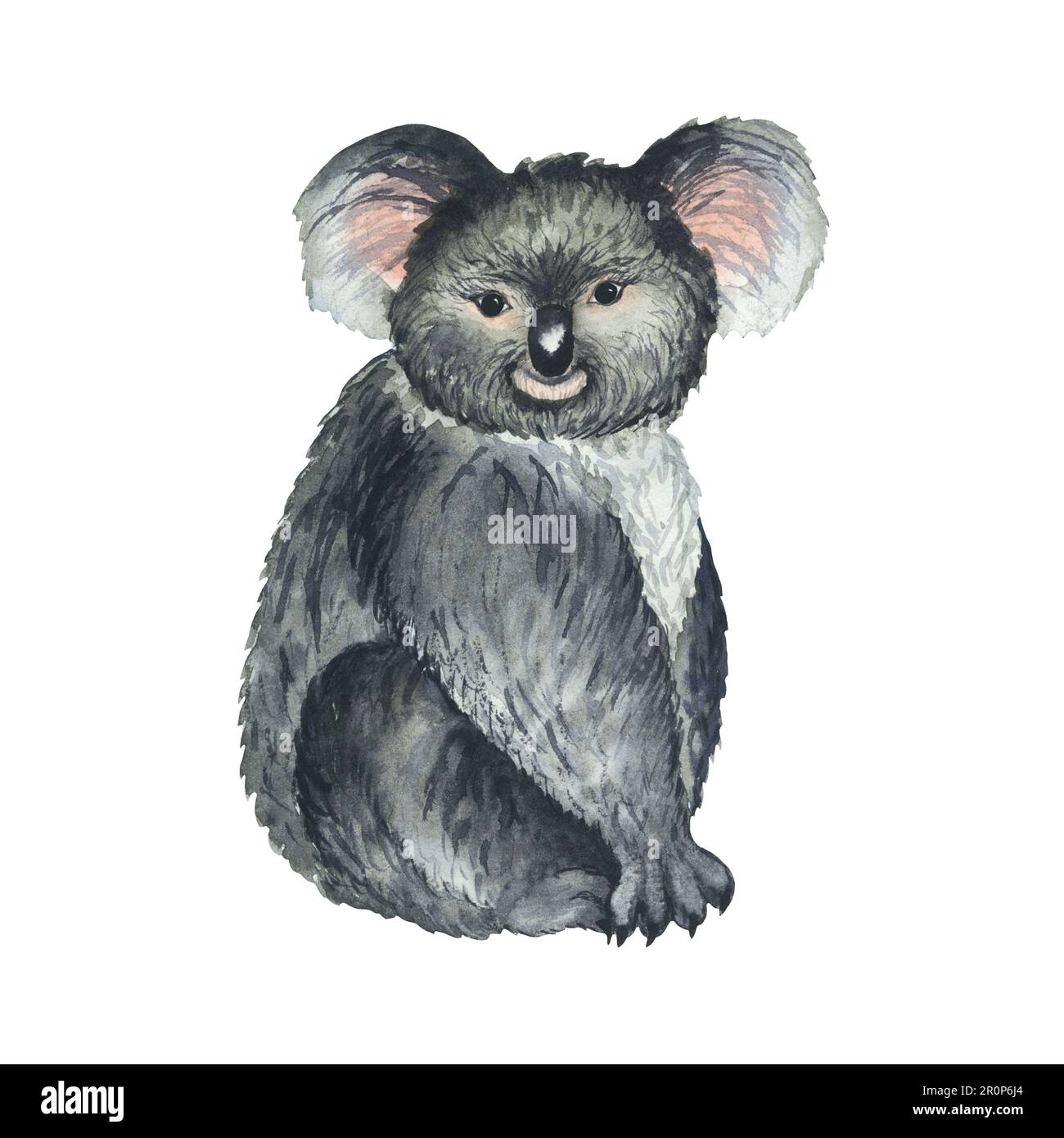 Watercolor australian animals hi-res stock photography and images - Alamy