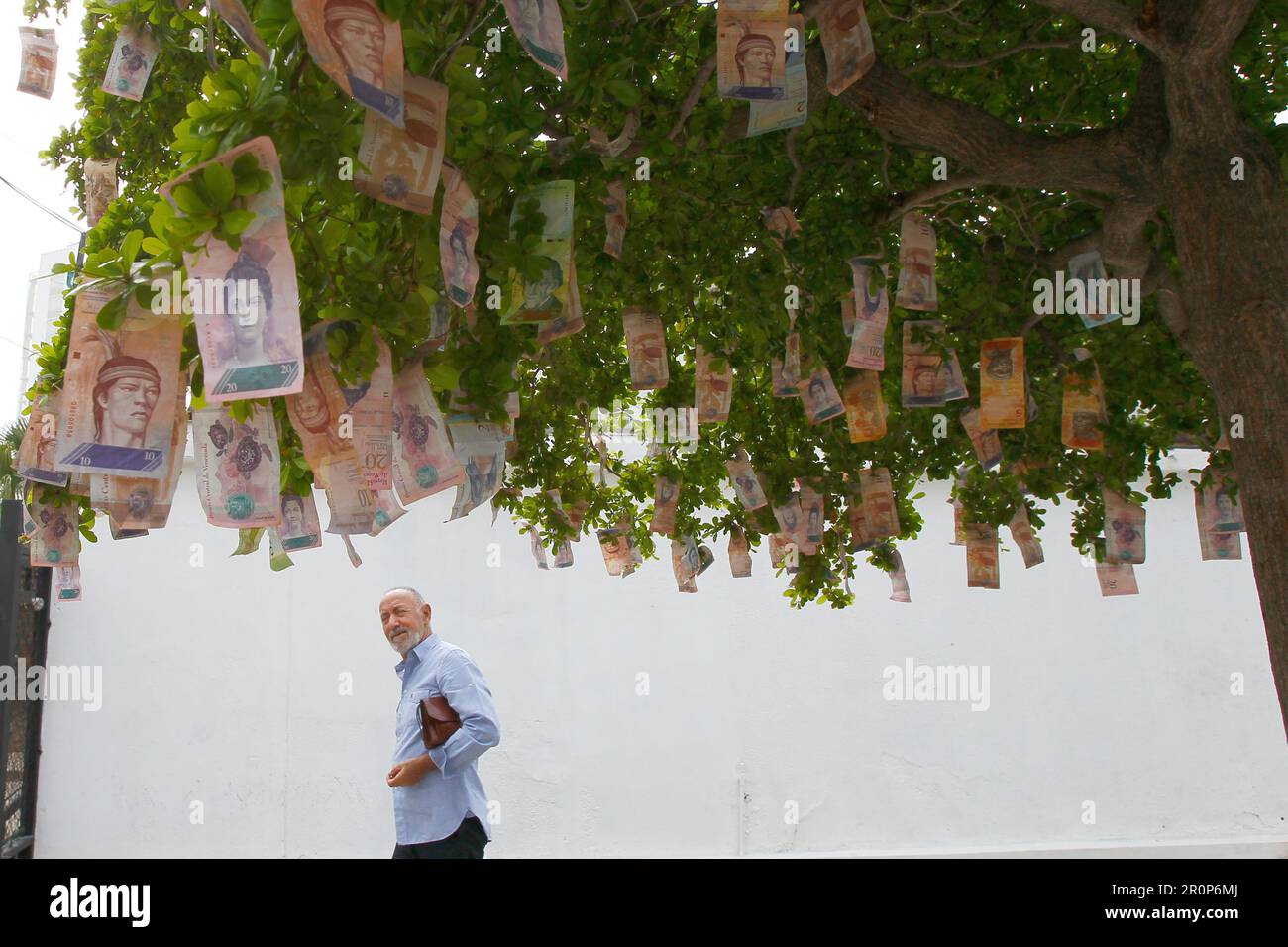 Family money tree hi-res stock photography and images - Alamy