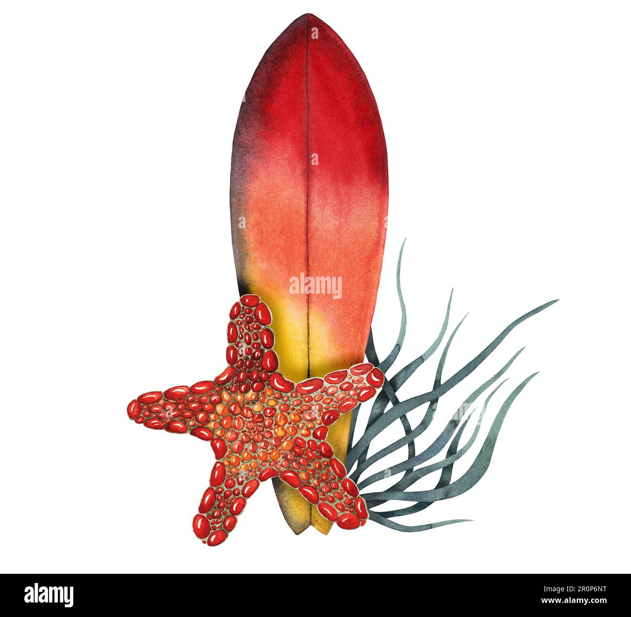 Composition of surf board red and yellow color with sea star and herbs ...