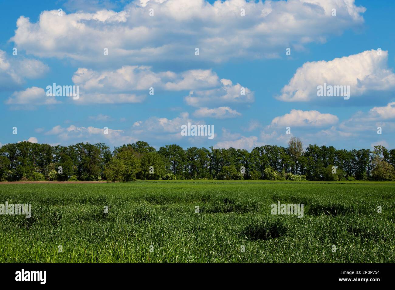Landscape po valley river hi-res stock photography and images - Alamy