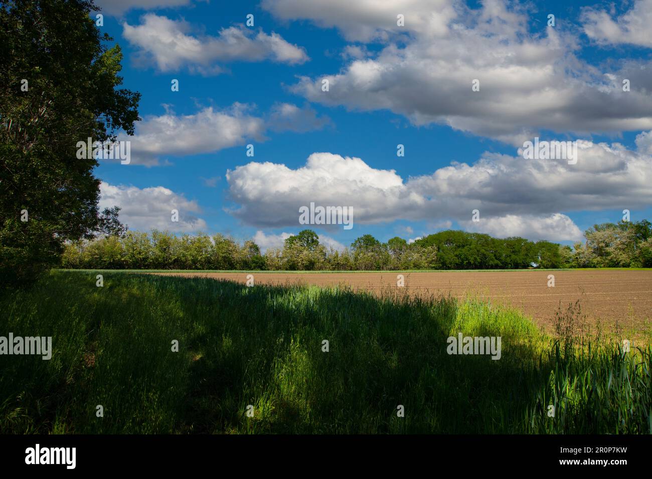 Rural landscape of the Po Valley with cultivated fields Stock Photo - Alamy
