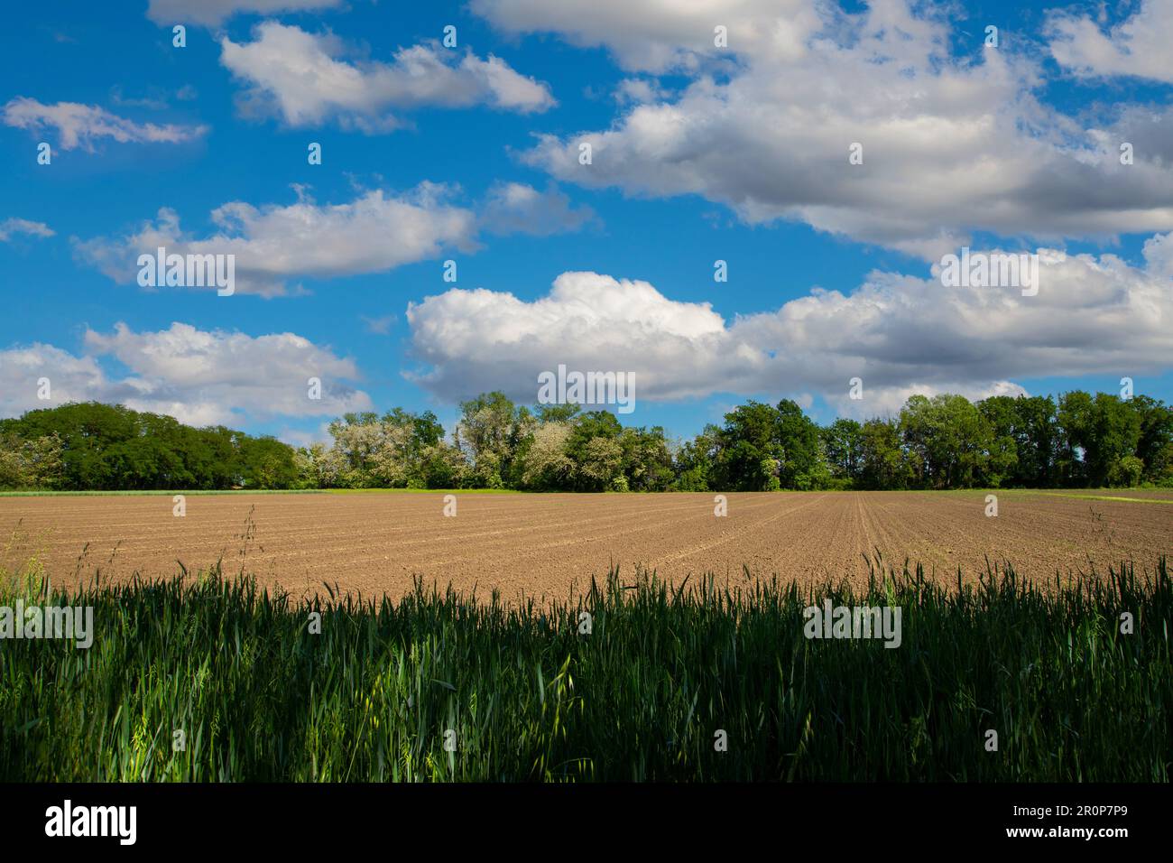 Rural landscape of the Po Valley with cultivated fields Stock Photo - Alamy