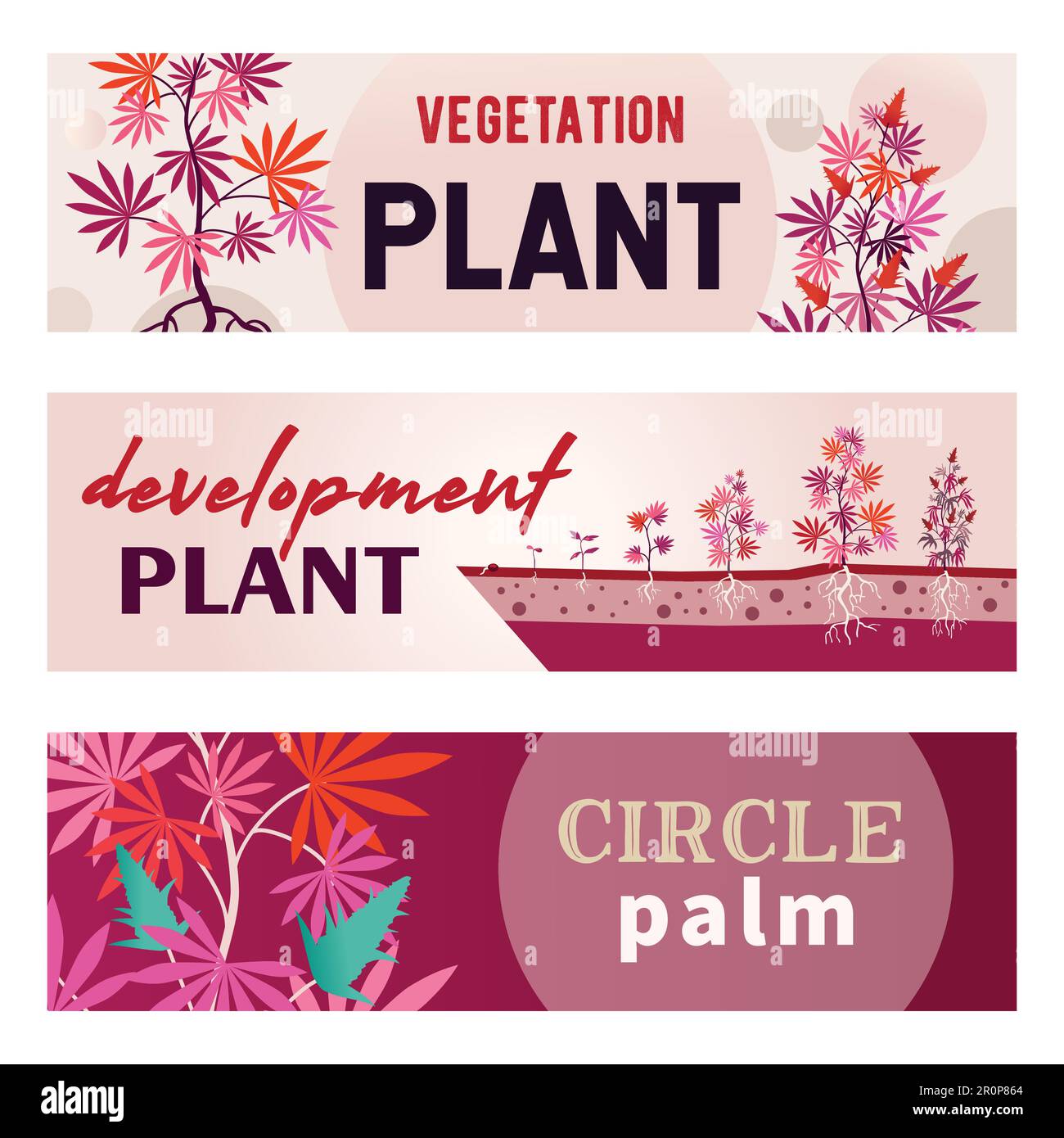 Pink promotional banner designs with marihuana Stock Vector Image & Art ...