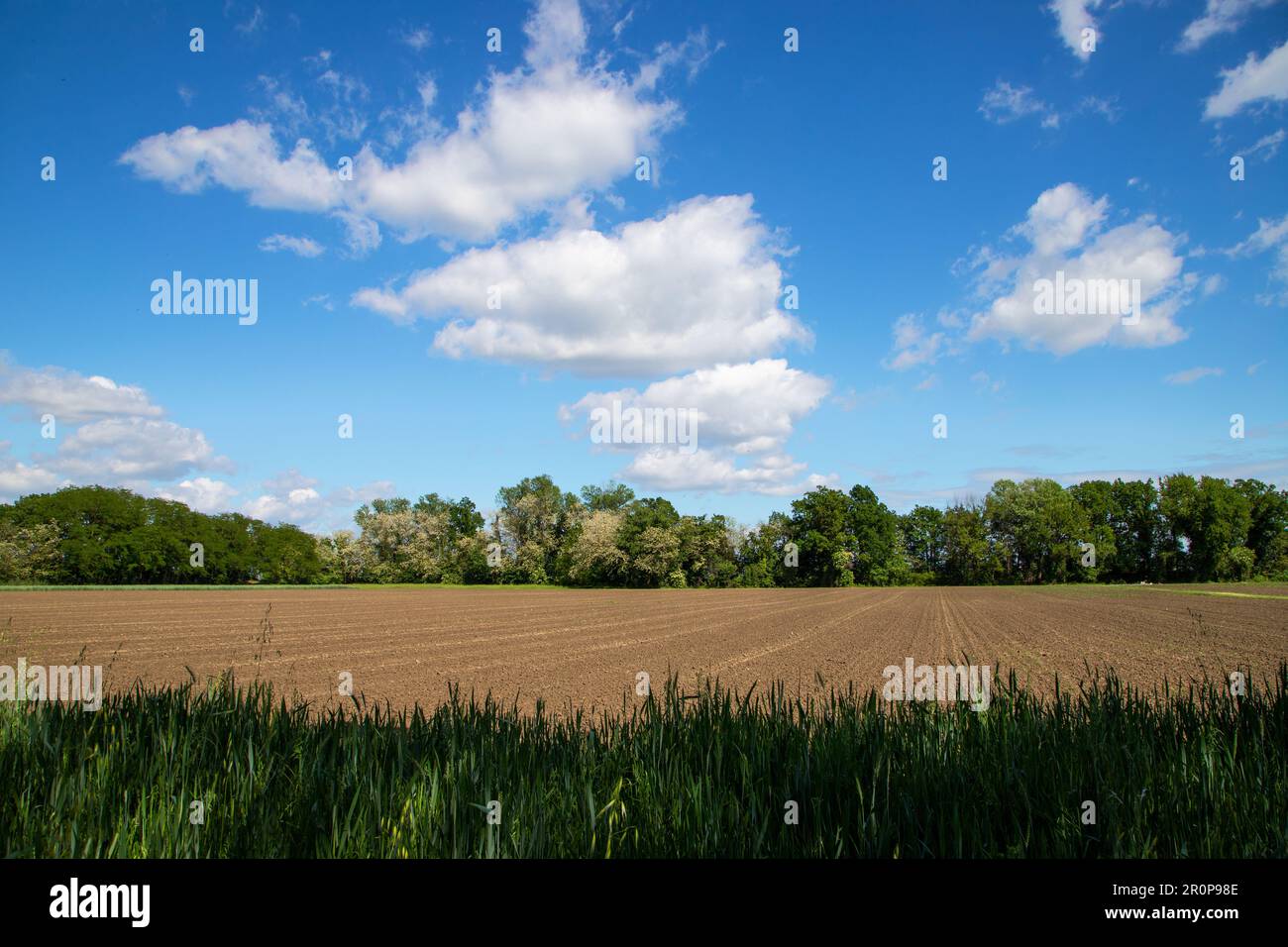 Landscape po valley river hi-res stock photography and images - Alamy