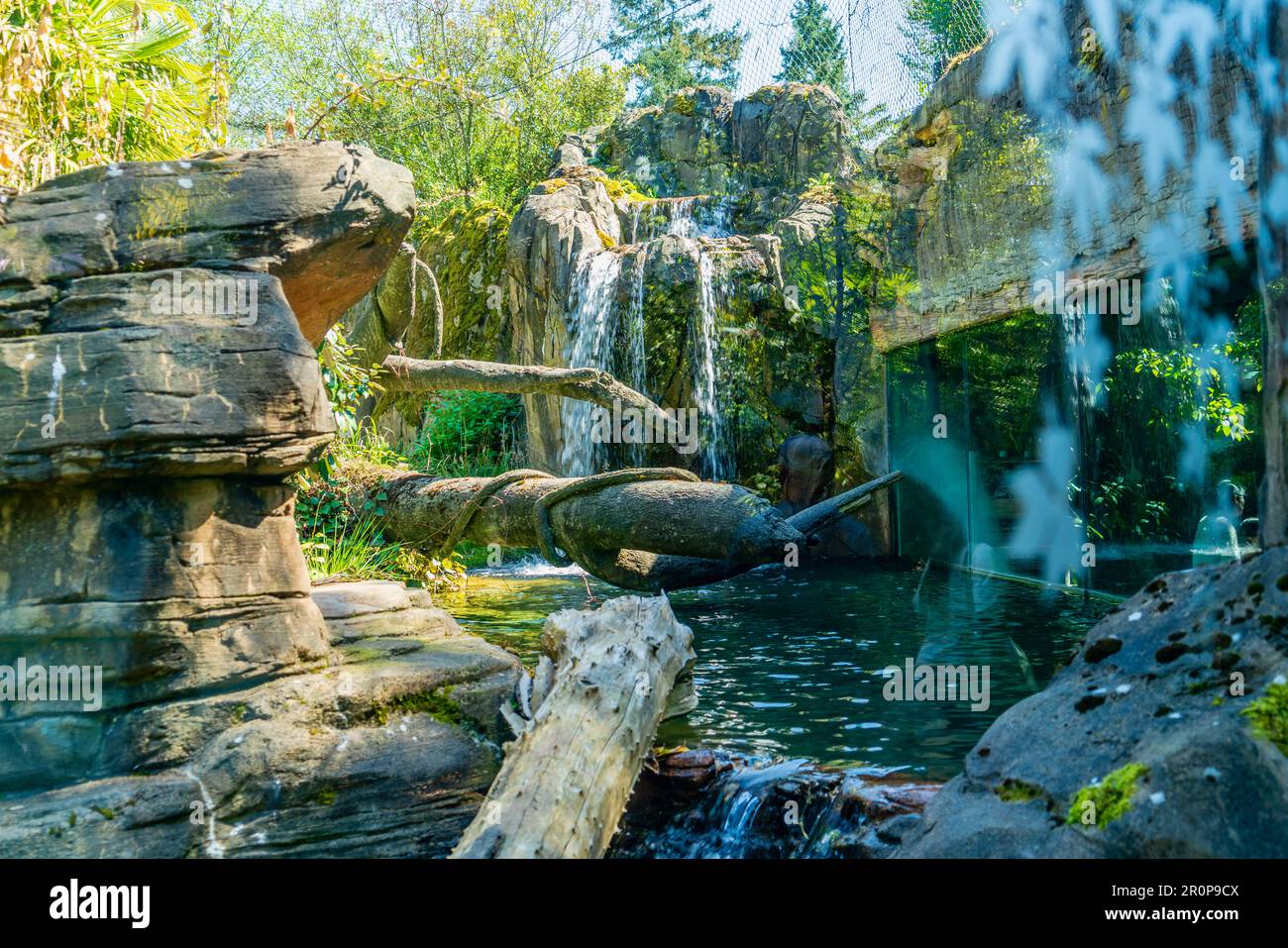 Waterfall at Woodland Park Zoo in Seattle, Washington Stock Photo - Alamy