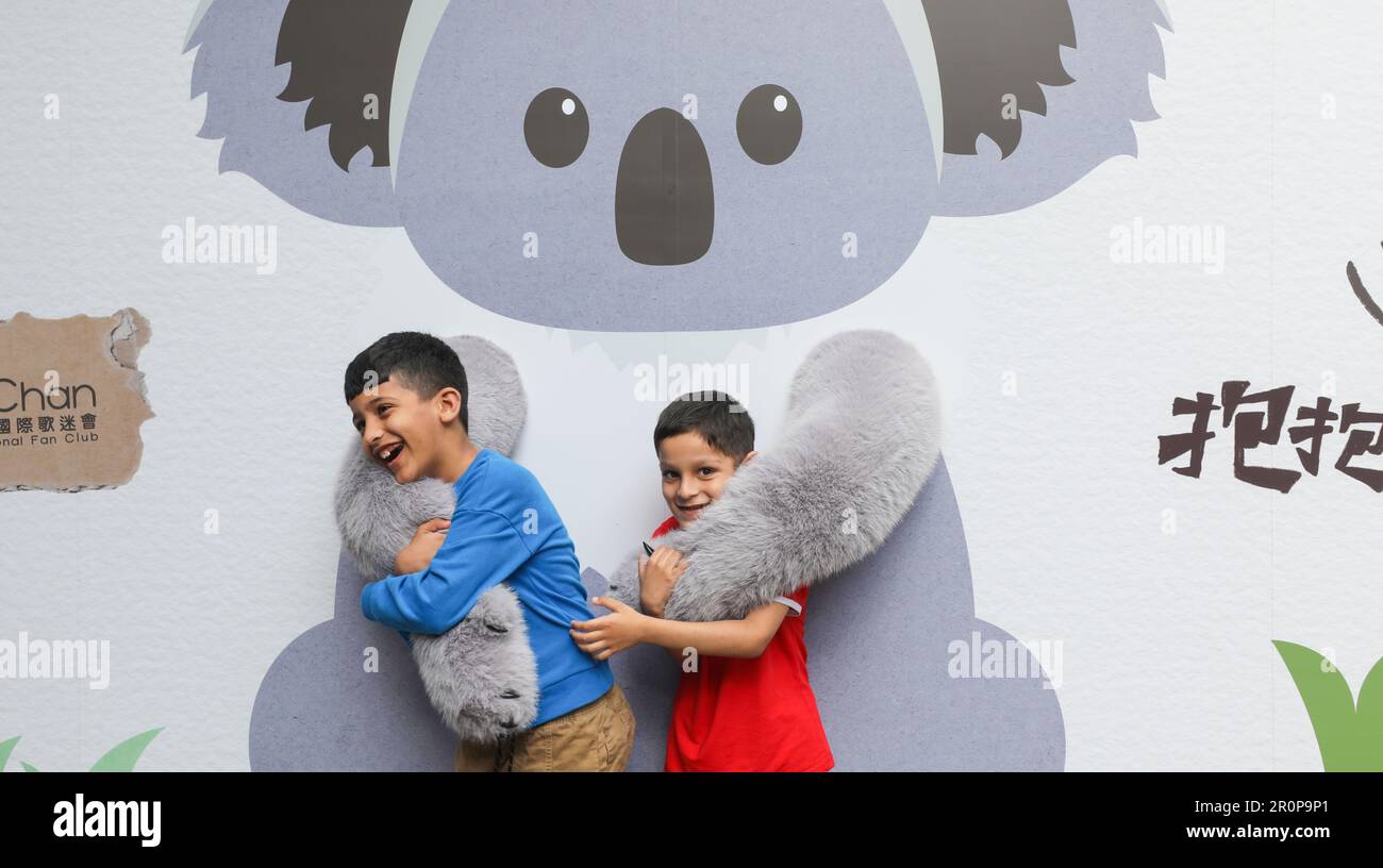 Two young boys are delighted to get a hug from a koala in an ...