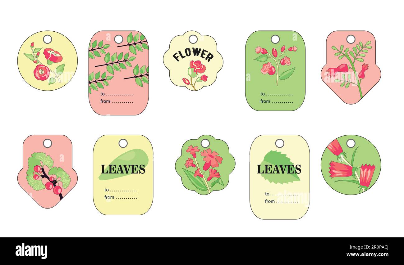 Pretty special tag designs with flowers and leaves Stock Vector Image ...