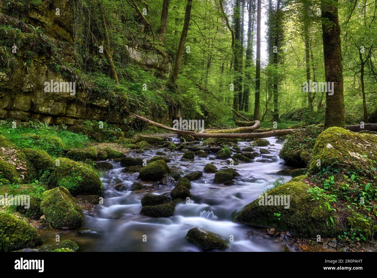 Grellingen bl hi-res stock photography and images - Alamy