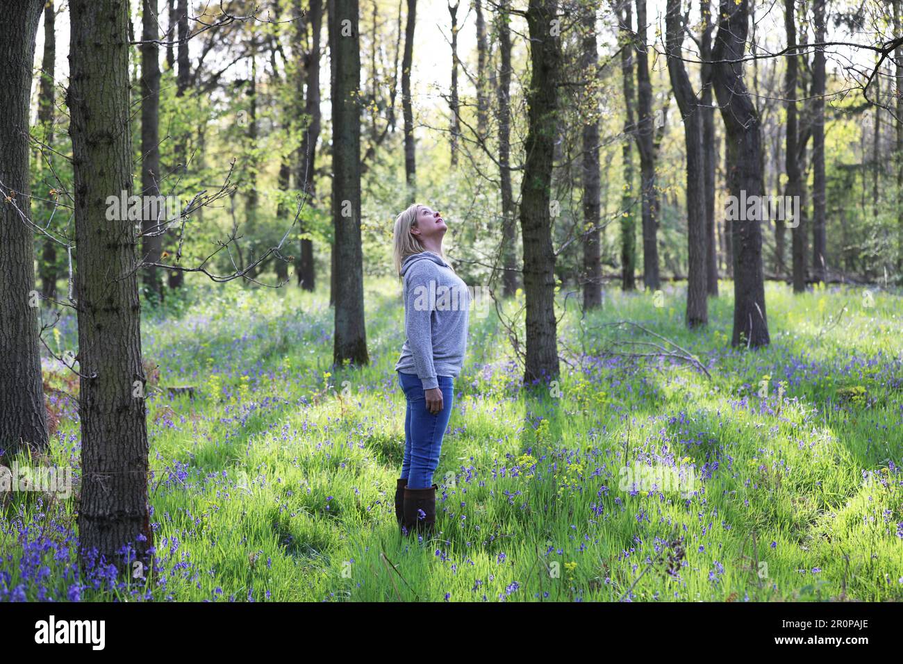 Free standing trees hi-res stock photography and images - Alamy