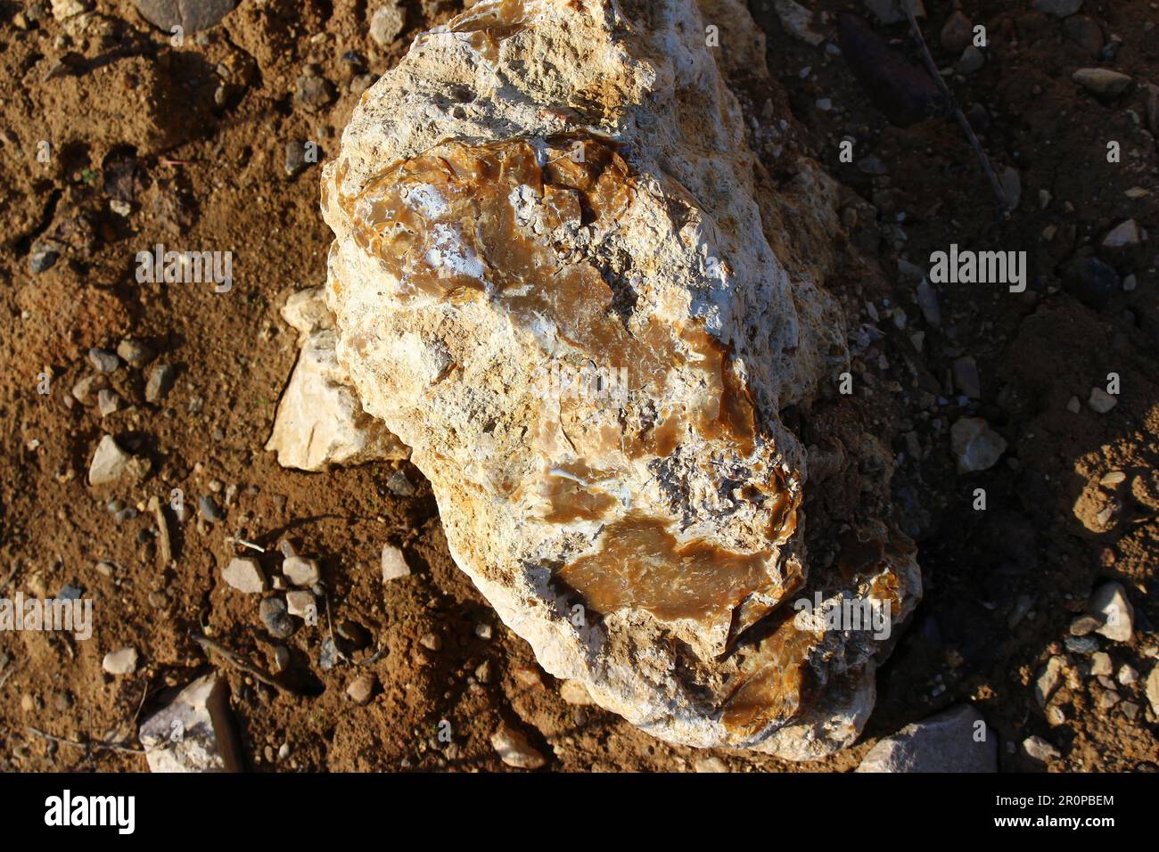 Brown chalcedony flint in a white limestone jacket at a quarry Stock ...