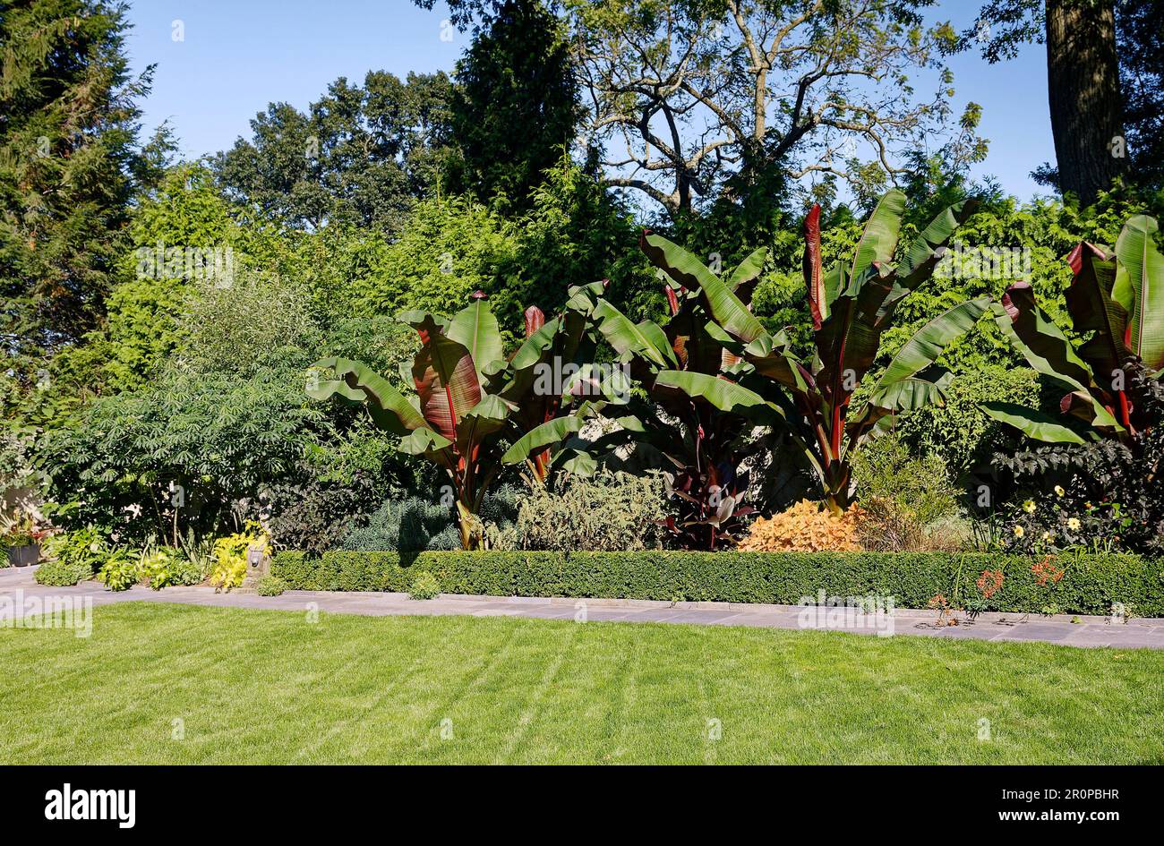 garden scene, shrubs, trees, various heights, stone path, shades of ...