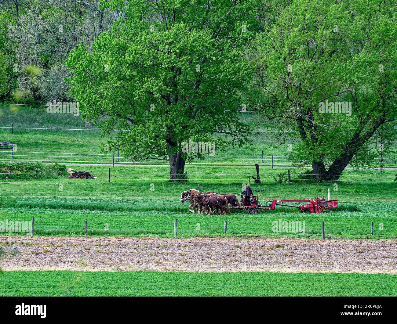 Amish farmer hi-res stock photography and images - Alamy