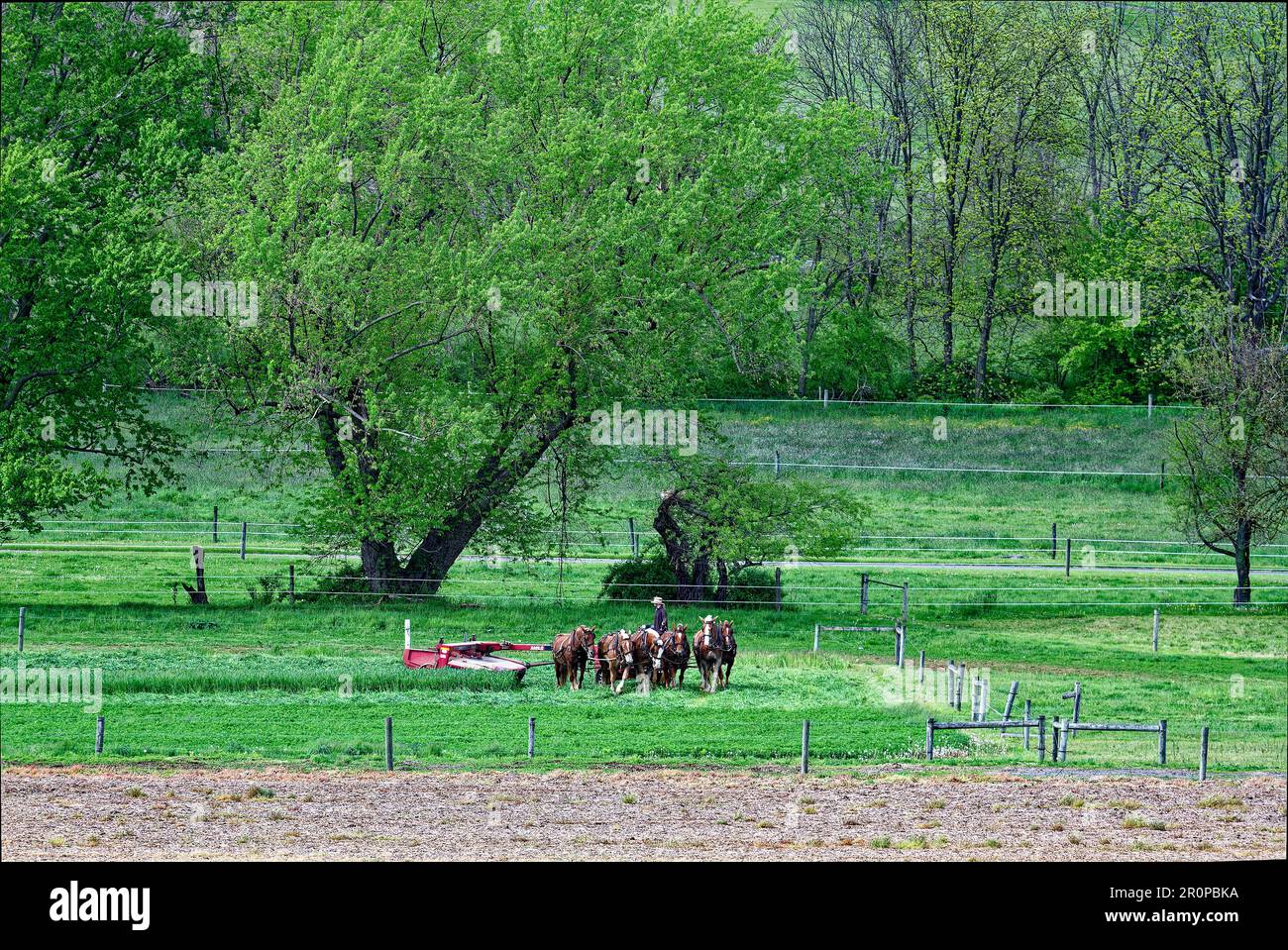 Amish farmer cutting hi-res stock photography and images - Alamy