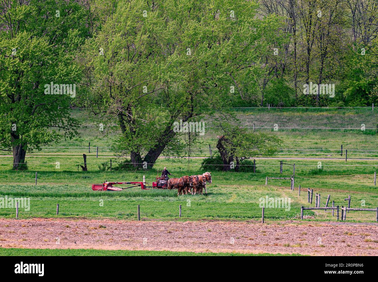 6 horse team pulling equipment hi-res stock photography and images - Alamy