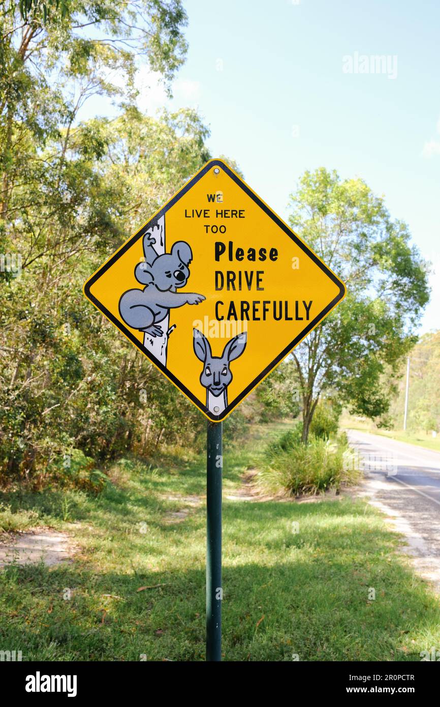 Koalas warning sign hi-res stock photography and images - Alamy