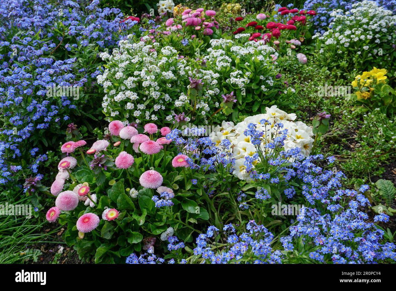 A park garden display of colorful seasonal flowers during spring bloom ...