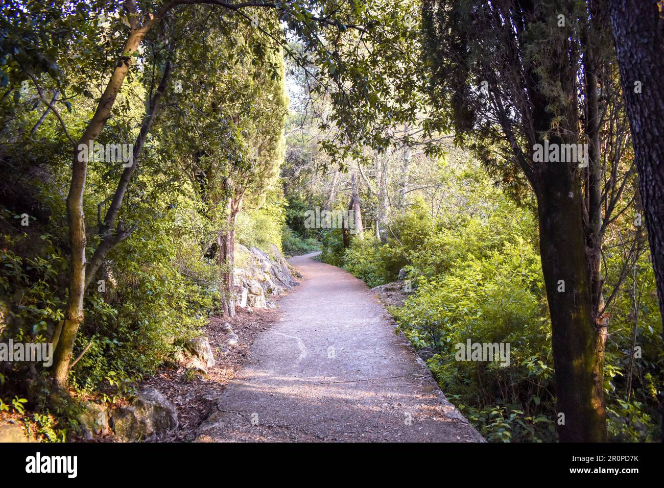 A scenic alleyway in the Croatian town of Trpanj, featuring lush green ...