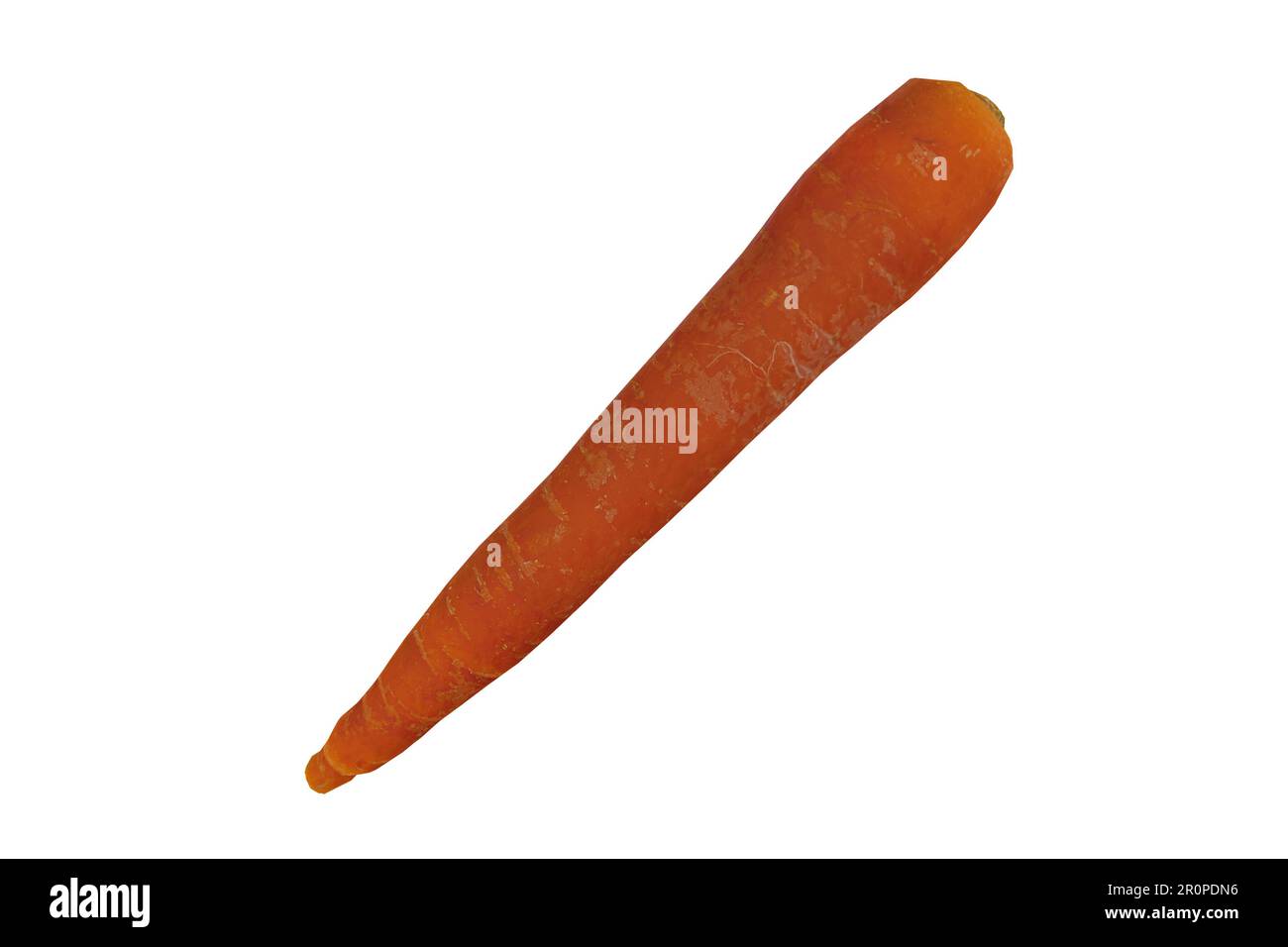 One big carrot hi-res stock photography and images - Alamy