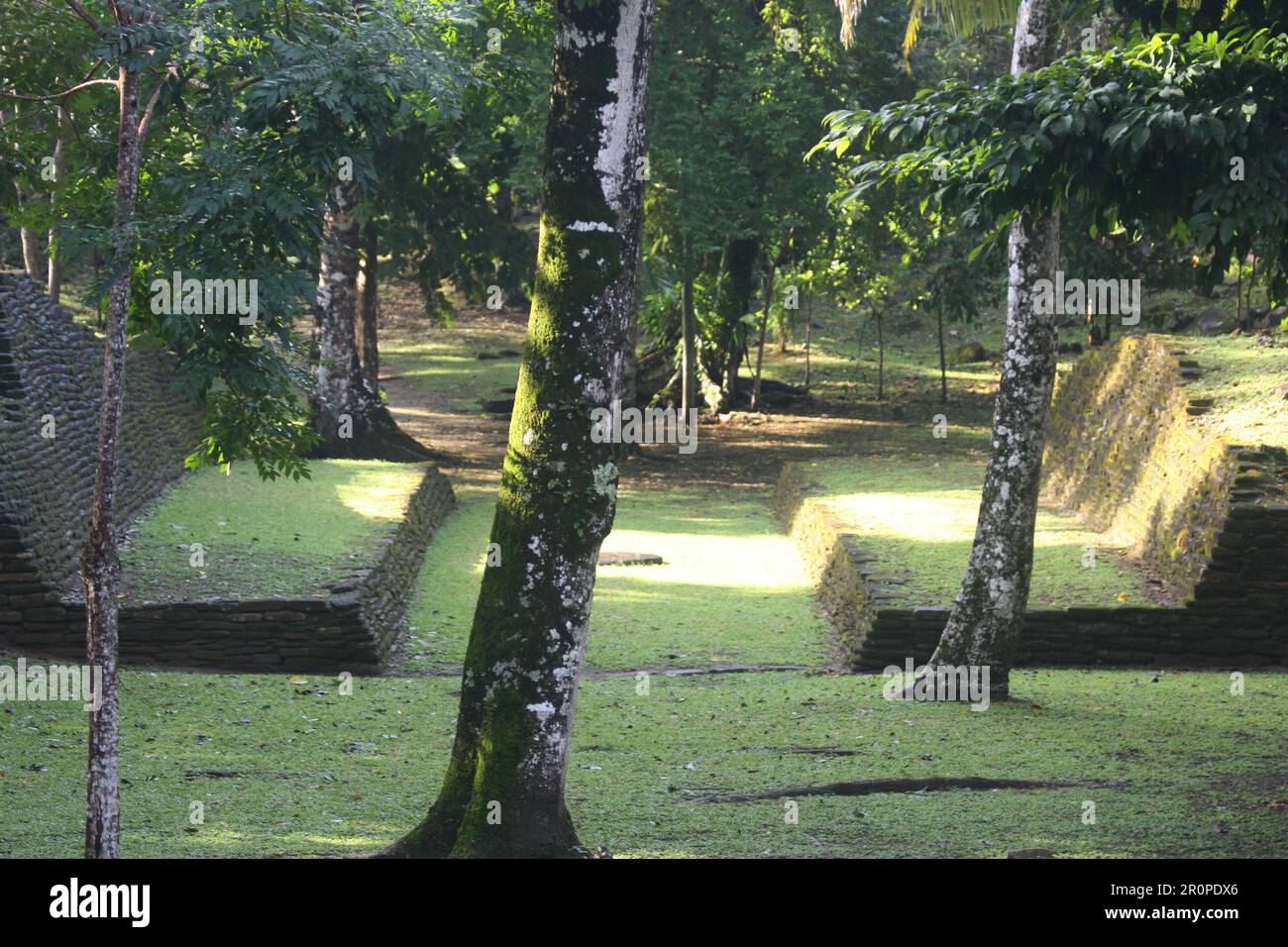 PUNTA GORDA, BELIZE - DECEMBER 26, 2008 the ancient Maya site of ...