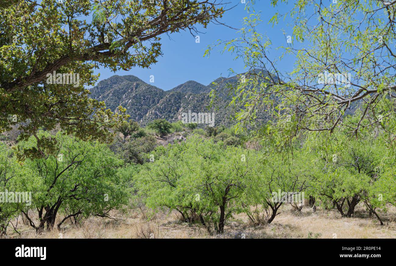 Santa rita road hi-res stock photography and images - Alamy