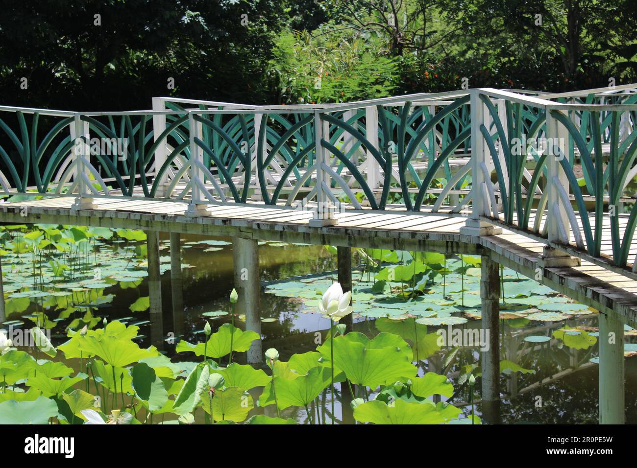 PUNTA GORDA, BELIZE - JULY 23, 2016 white painted bridge footpath over ...