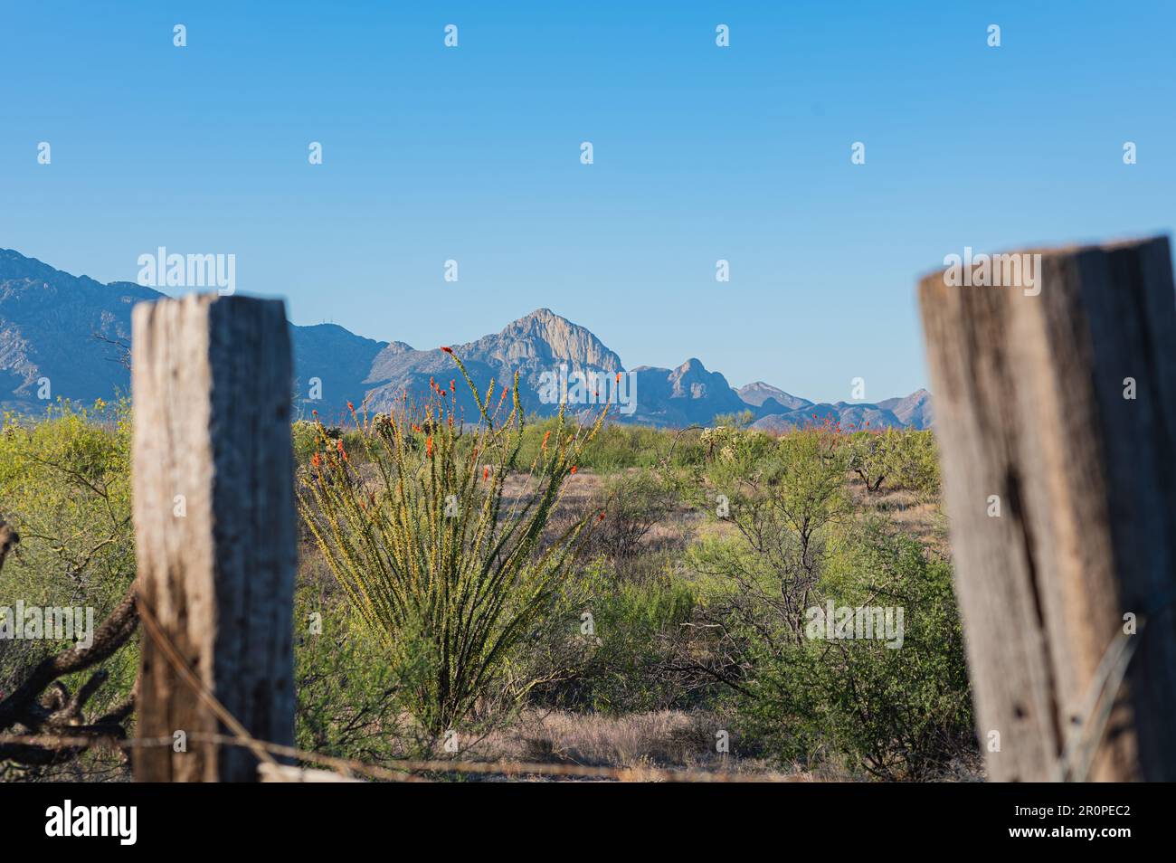 Fence Post Picture Frame Stock Photo - Alamy