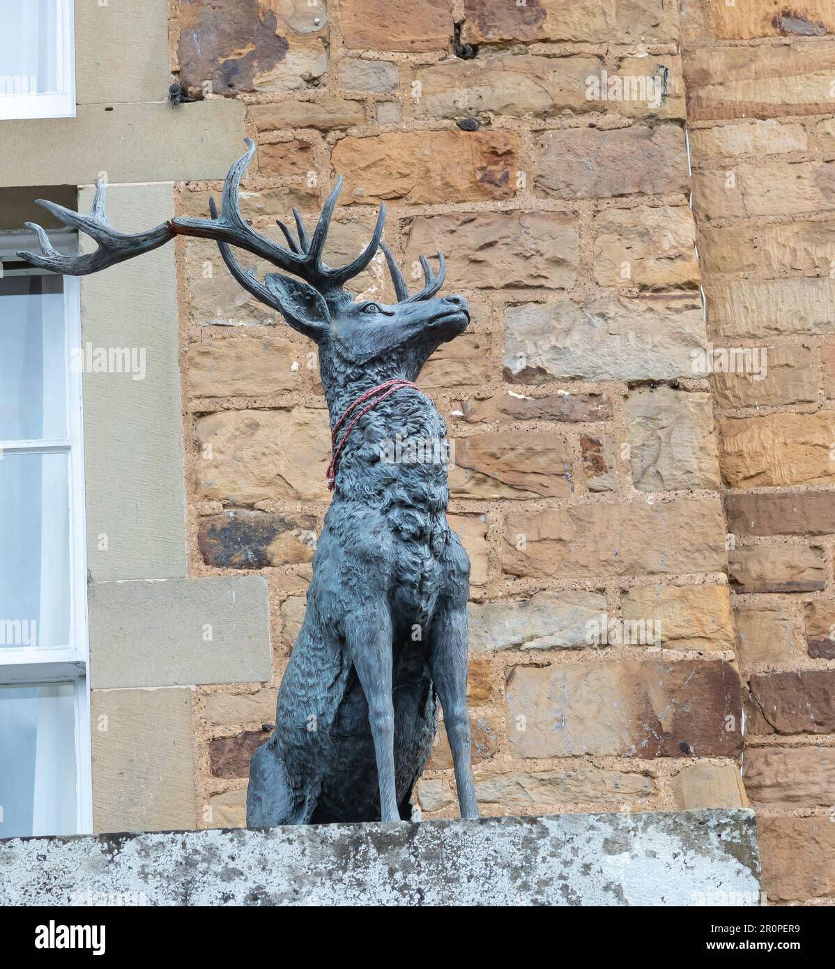 Skyfall House Deer