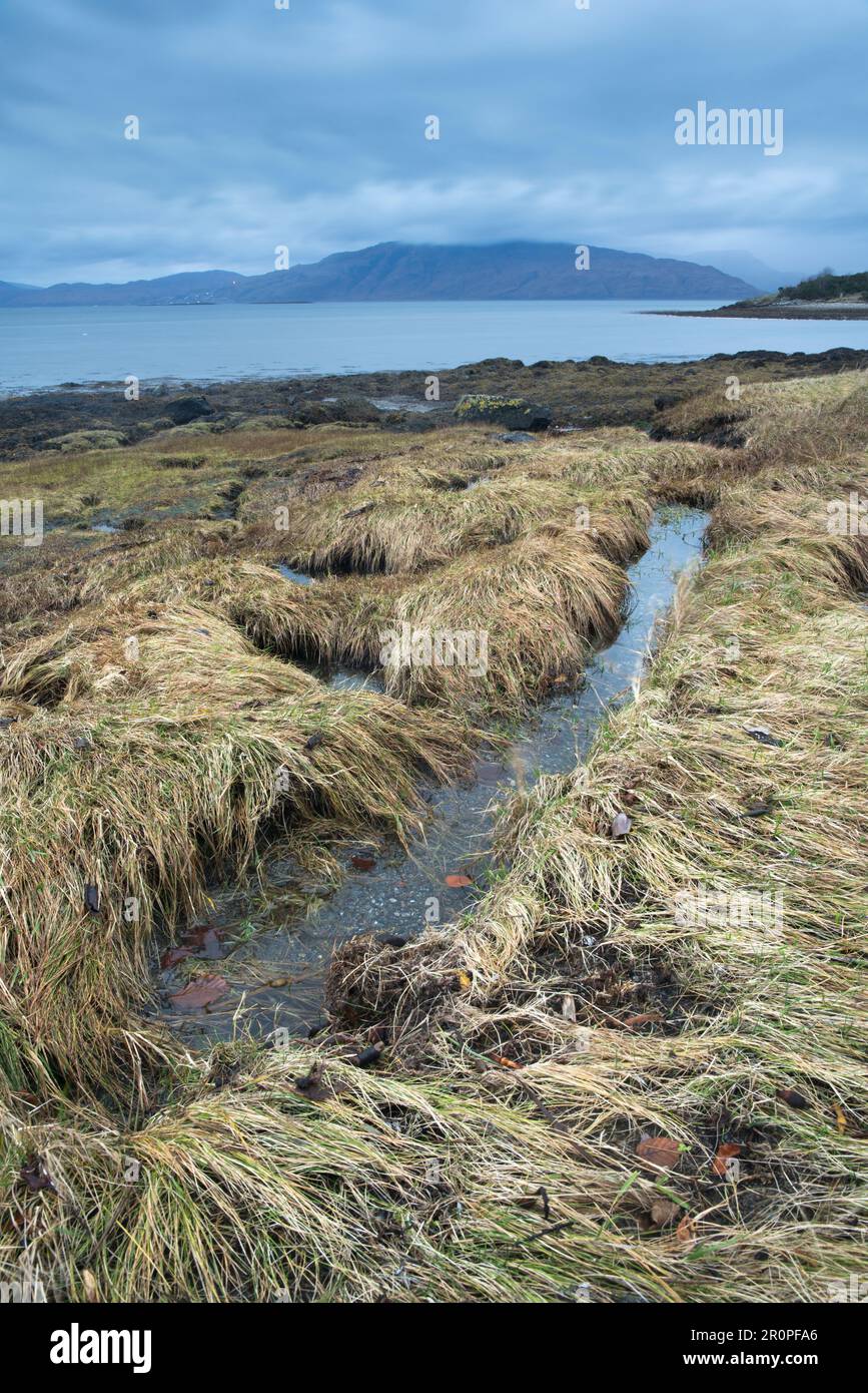 The shoreline at Appin in North Argyll with views to Morvern and ...