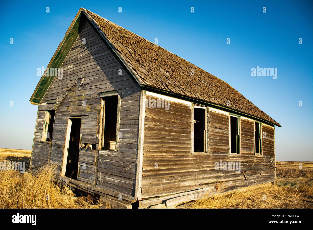 Daisybank hi-res stock photography and images - Alamy