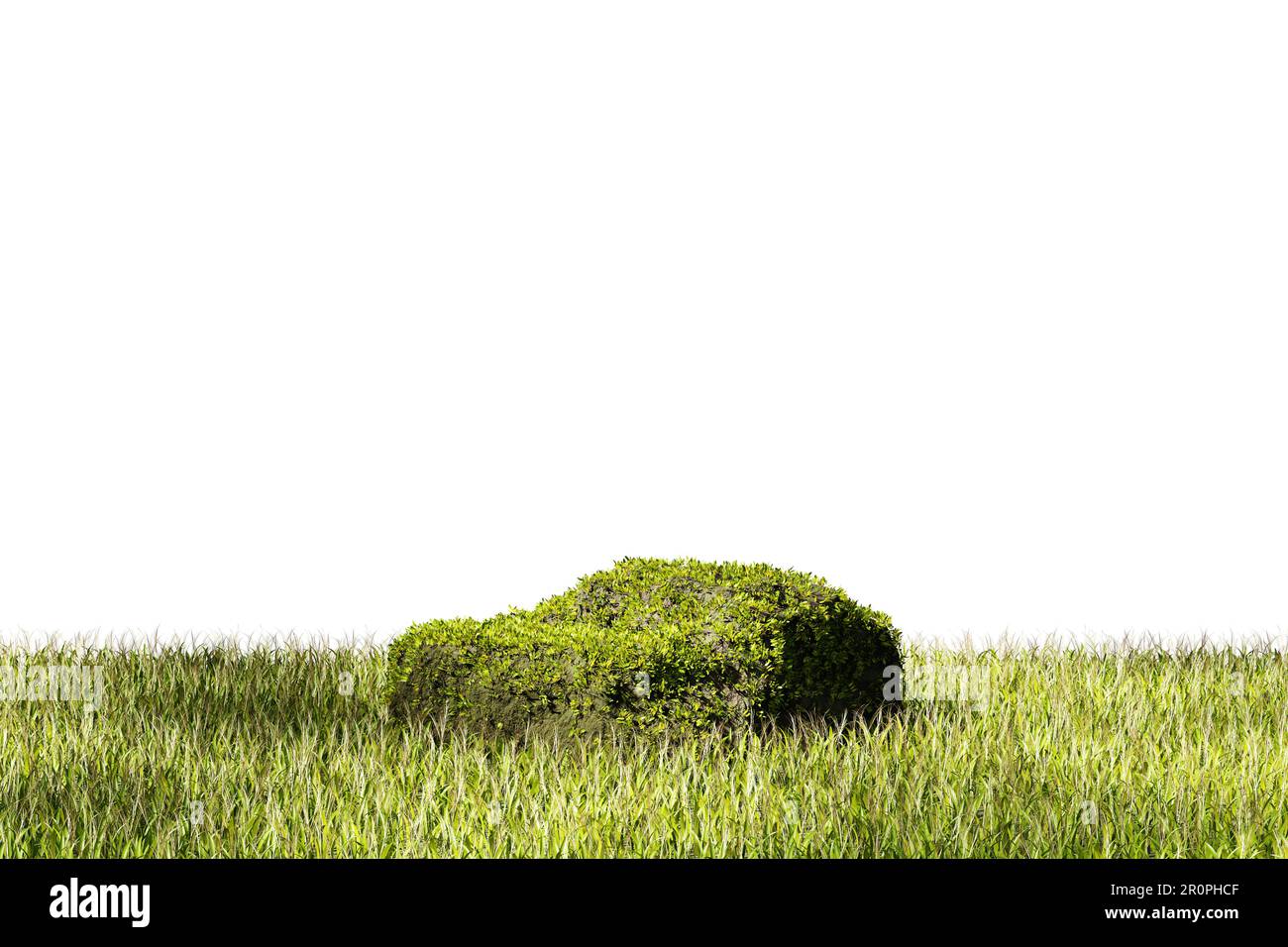 3D rendering platform podium with grass plant product presentation ...