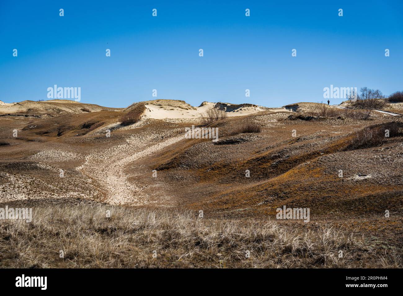 The Gray Dunes, or the Dead Dunes is sandy hills with a bit of green ...