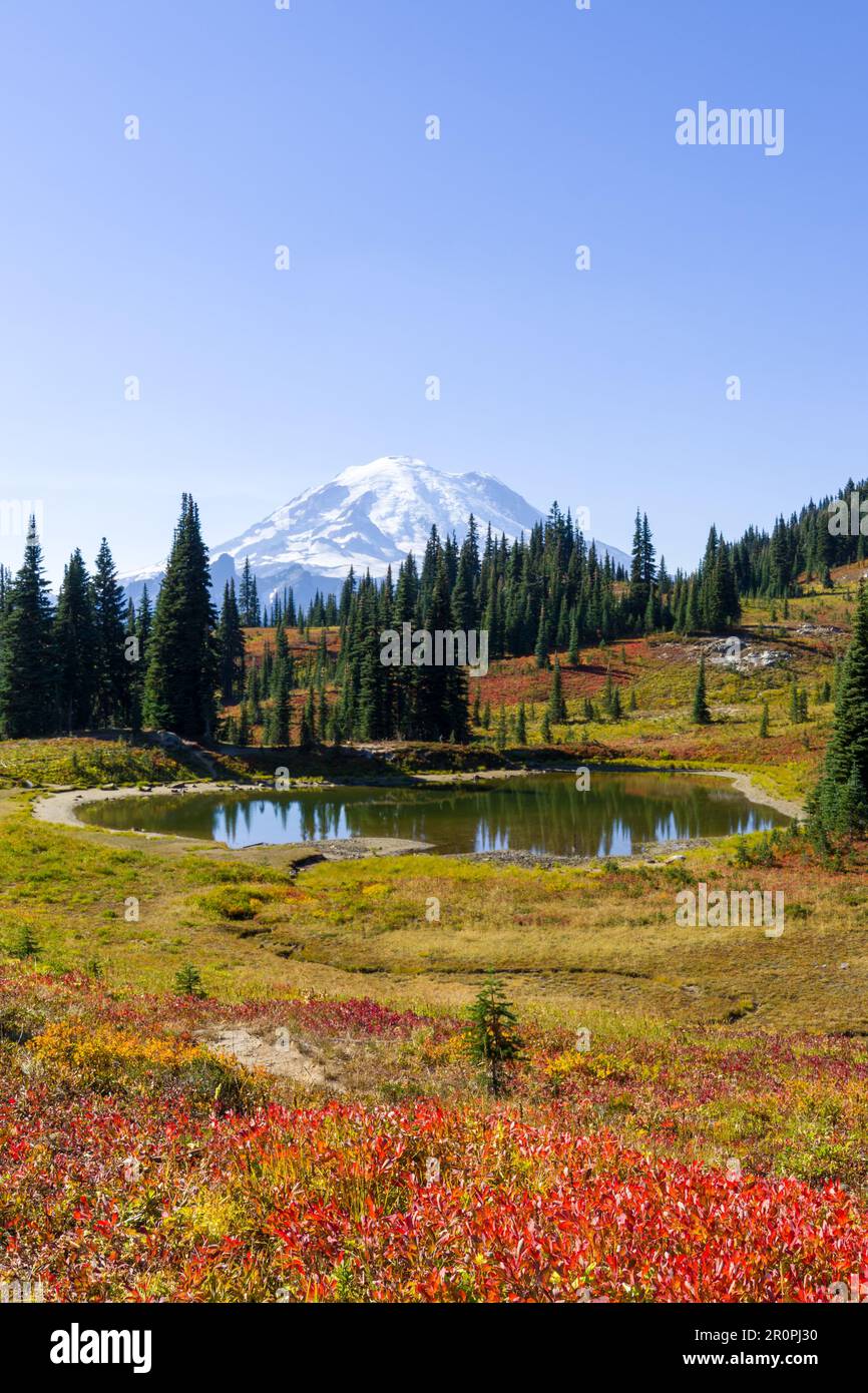 Vibrant fall foliage blankets rolling hi-res stock photography and ...
