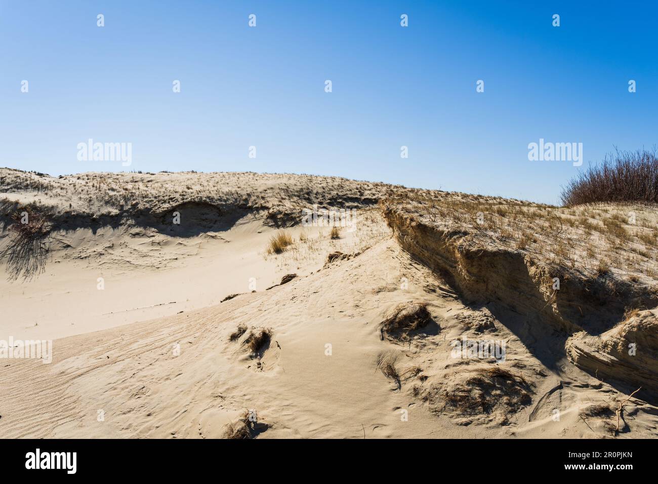 The Gray Dunes, or the Dead Dunes is sandy hills with a bit of green ...
