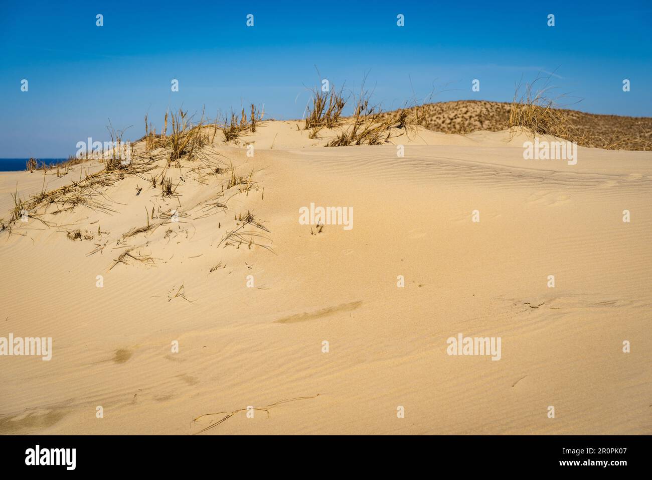 The Gray Dunes, or the Dead Dunes is sandy hills with a bit of green ...