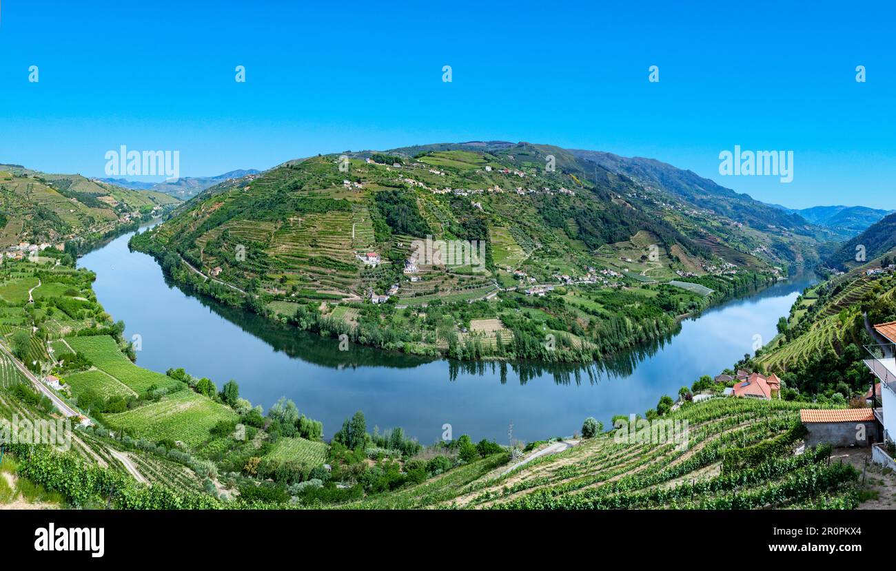 scenic Douro river bend at Mesao frio in the Porto region Stock Photo ...
