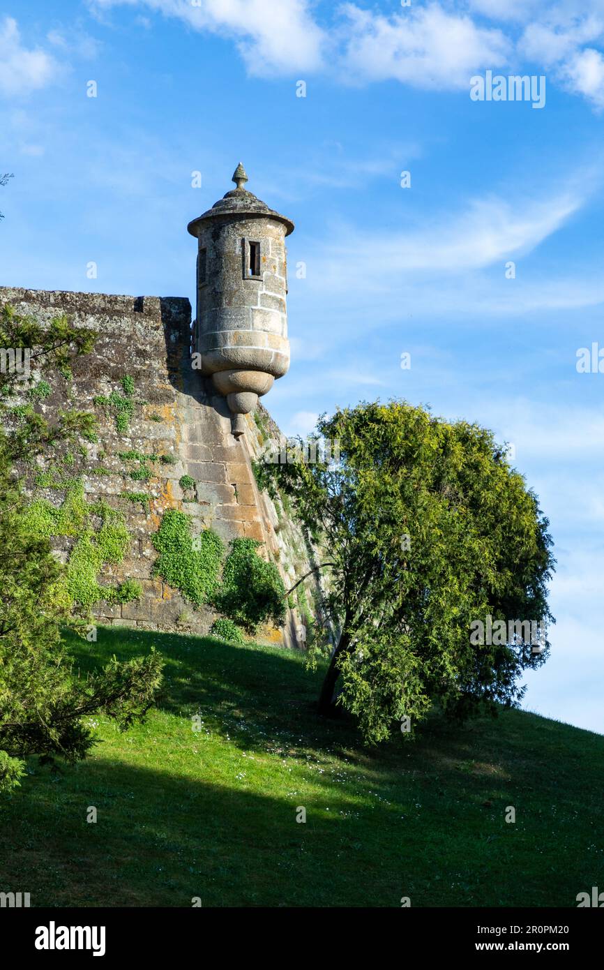 Keep tower, castle ruins, medieval structure.It was built by Dom Dinis ...