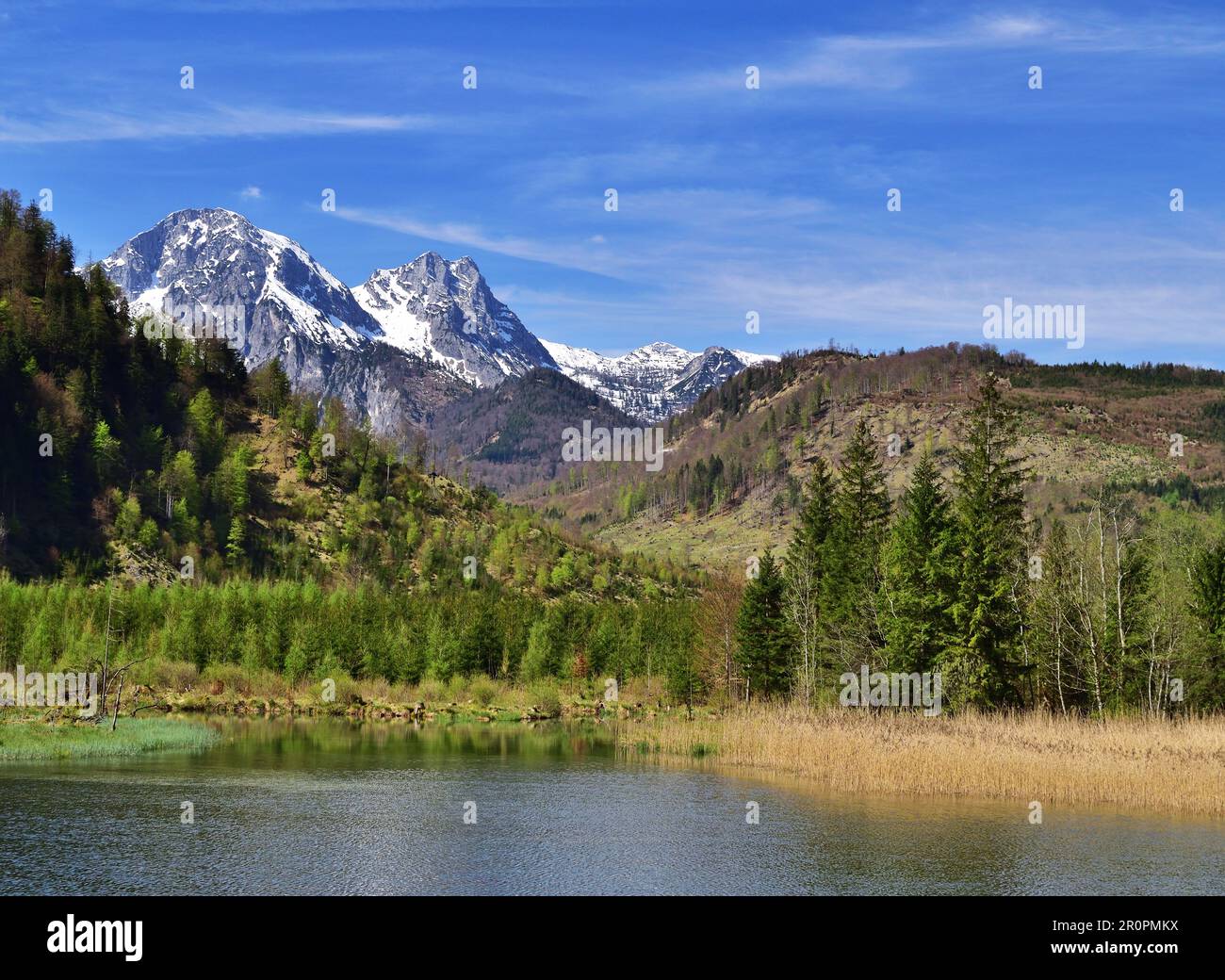 Alm spring hi-res stock photography and images - Alamy