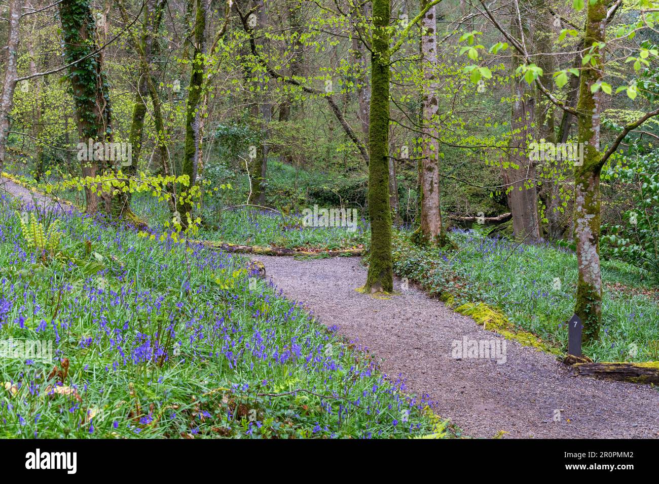 Plas Cadnant Hidden Gardens a beautiful garden in Menai Bridge ...