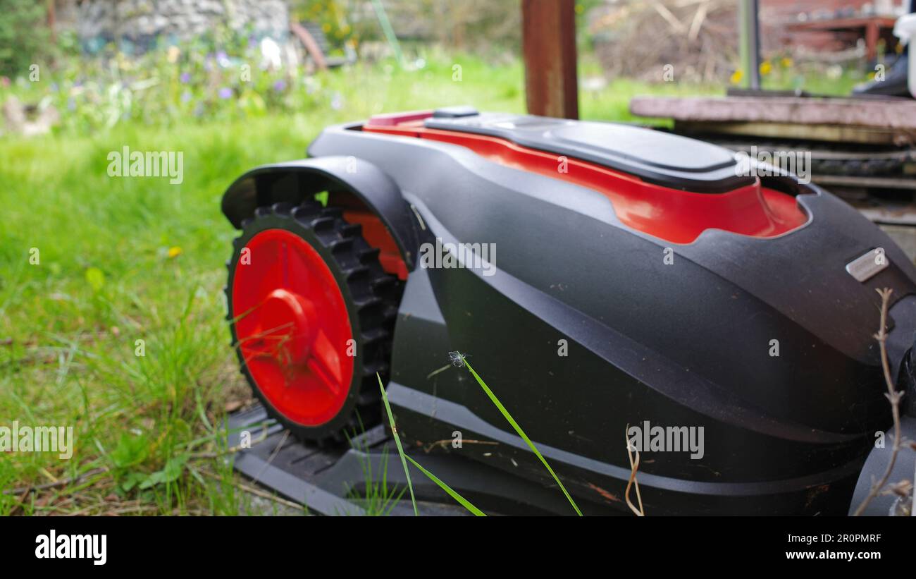 Black-red mowing robot is charging. It's not allowed to work this month ...